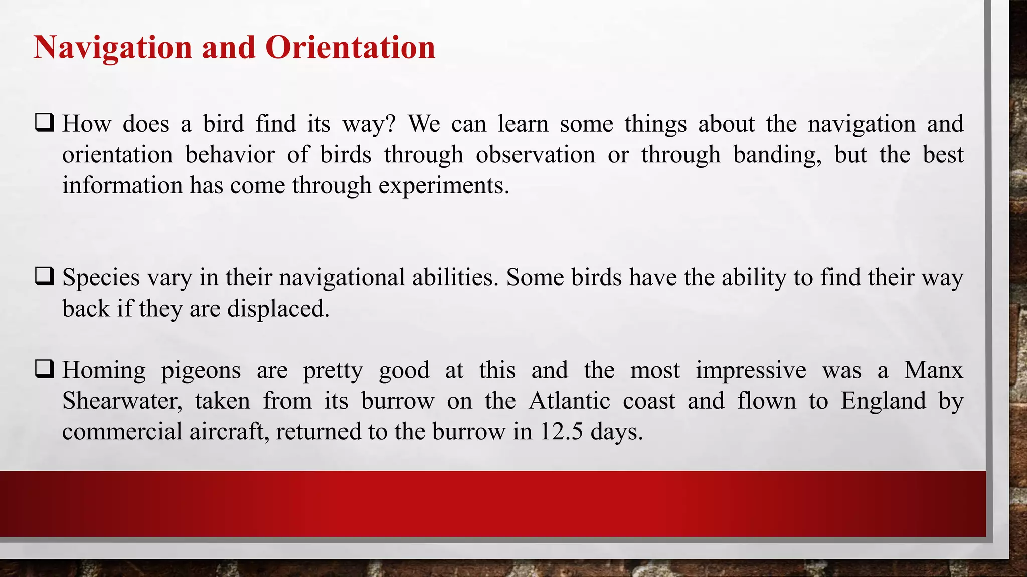 Navigation in birds | PPTX