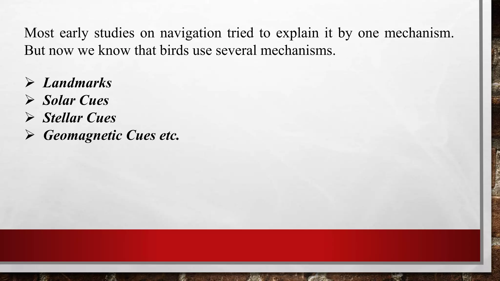 Navigation in birds | PPTX