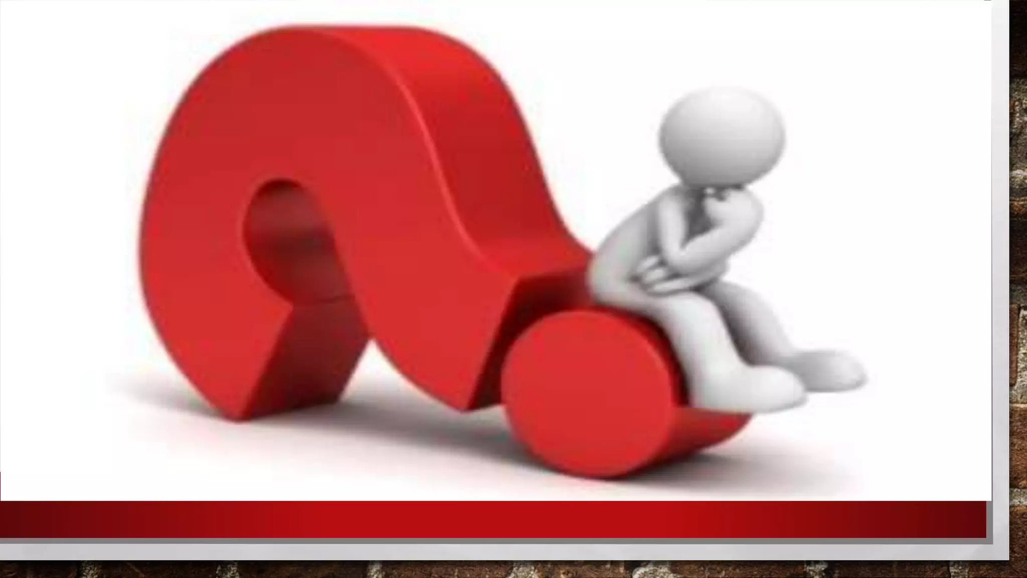 Navigation in birds | PPTX