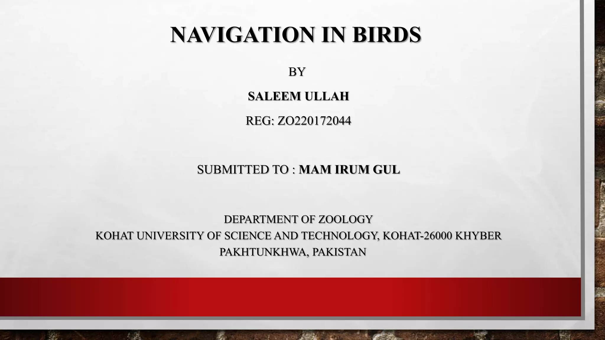 Navigation in birds | PPTX