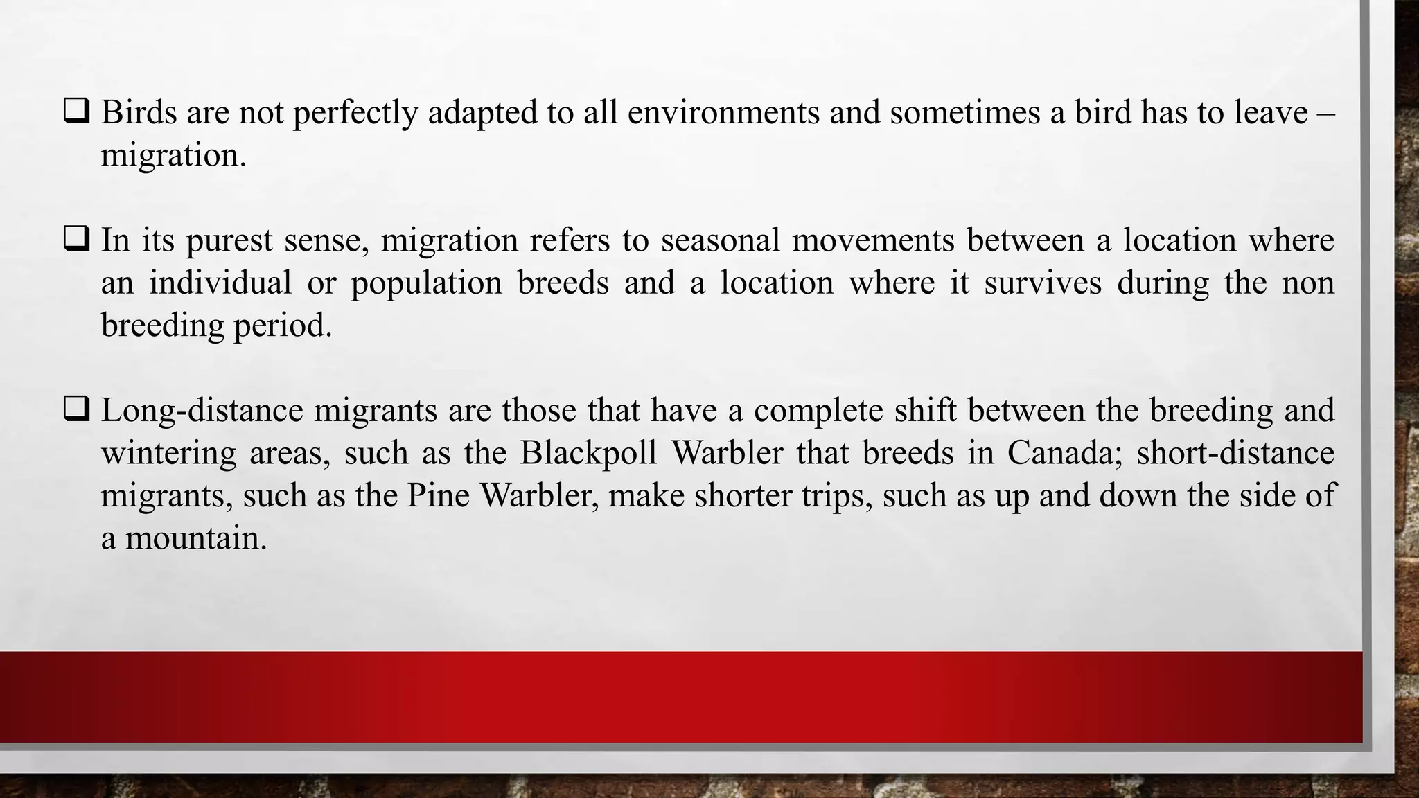 Navigation in birds | PPTX