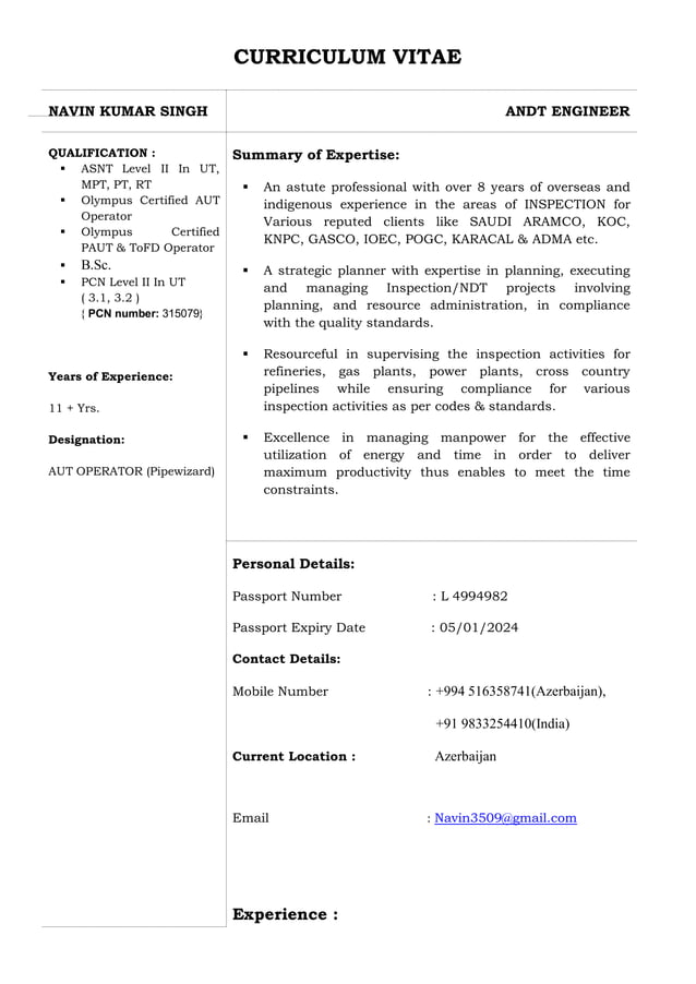 Navin singh cv | PDF | Business | Business and Finance