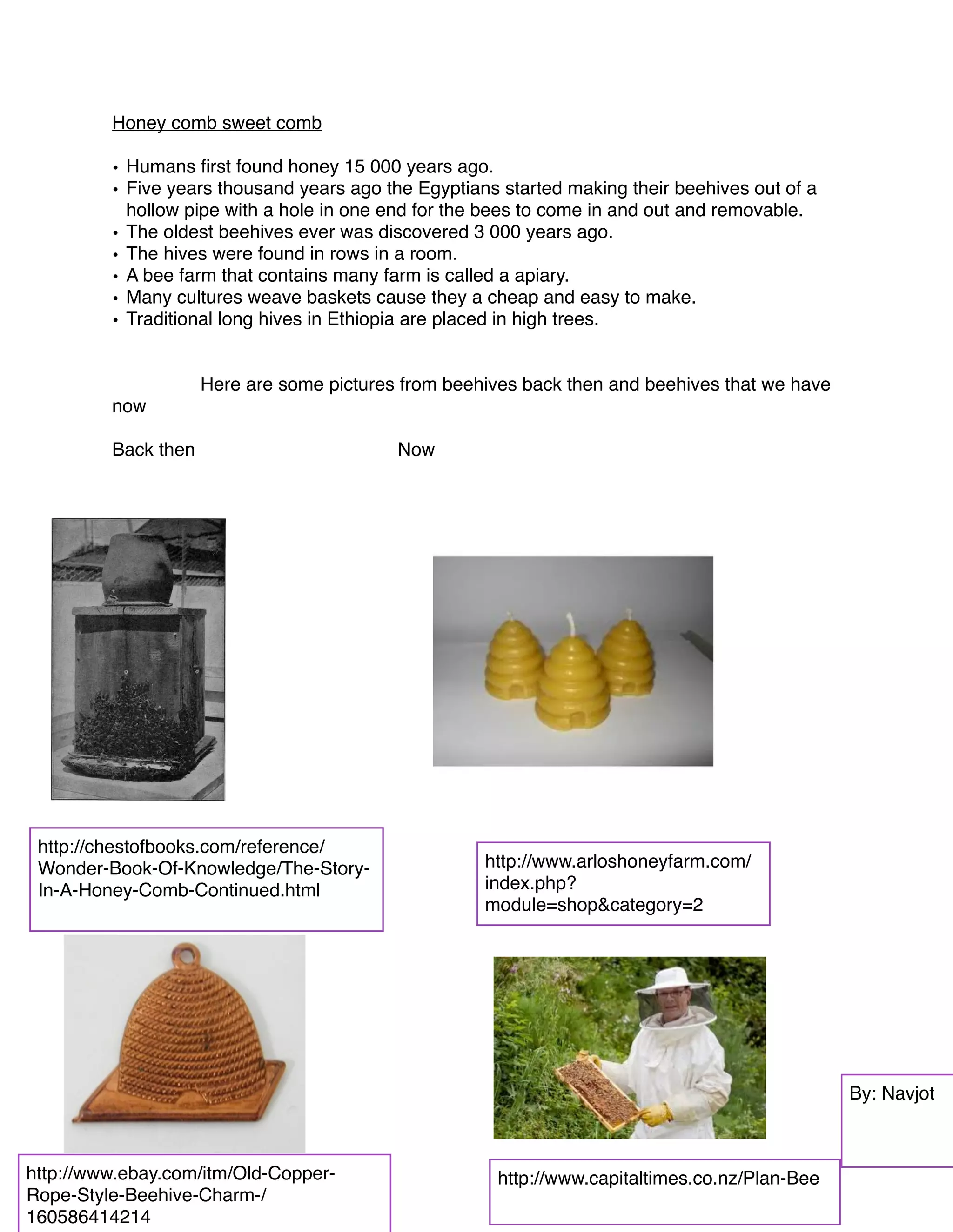 Navjots bee hive facts | PDF