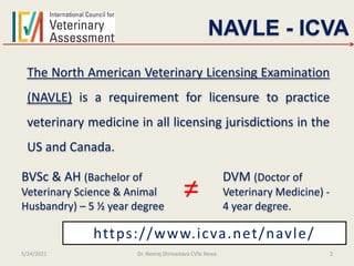 Preparation of North American Veterinary Licensing Examination (NAVLE ...