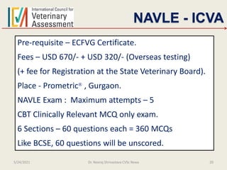 Preparation of North American Veterinary Licensing Examination (NAVLE ...