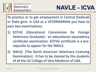 Preparation of North American Veterinary Licensing Examination (NAVLE ...