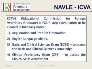 Preparation of North American Veterinary Licensing Examination (NAVLE ...