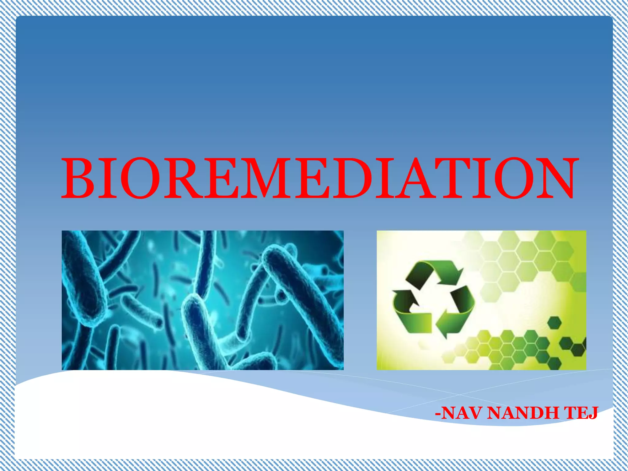 bioremediation | PPTX