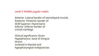 Secondaries in the neck Lymphnode with surgical anatomy of neck | PPTX