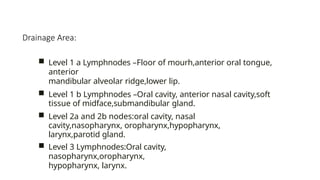 Secondaries in the neck Lymphnode with surgical anatomy of neck | PPTX