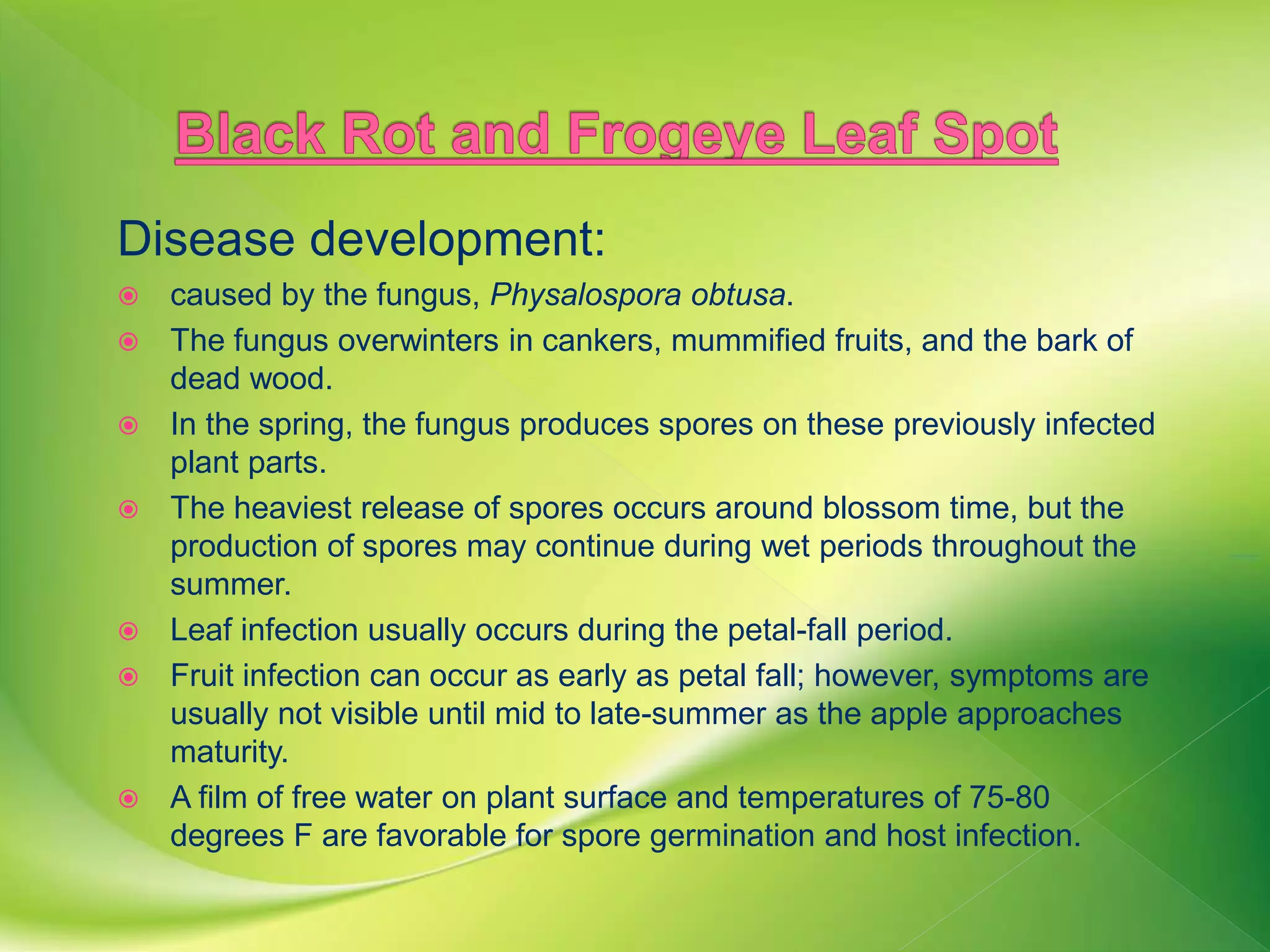 FUNGAL DISEASE OF APPLE | PPTX