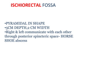 PERIANAL ABSCESS & ISCHIORECTAL ABSCESS | PPTX