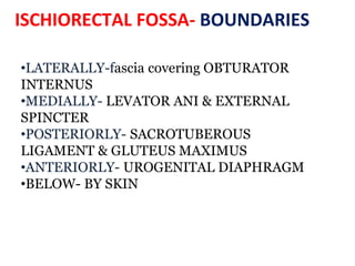 PERIANAL ABSCESS & ISCHIORECTAL ABSCESS | PPTX