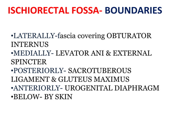 PERIANAL ABSCESS & ISCHIORECTAL ABSCESS | PPTX | Digestive Disorders ...