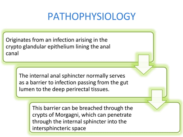 PERIANAL ABSCESS & ISCHIORECTAL ABSCESS | PPTX | Digestive Disorders ...