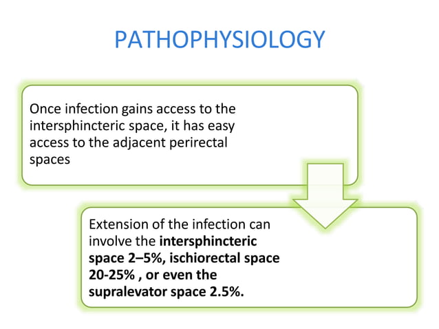 PERIANAL ABSCESS & ISCHIORECTAL ABSCESS | PPTX | Digestive Disorders ...
