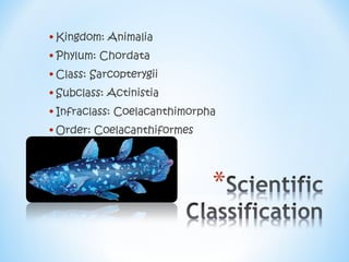 Nayoung kim coelacanth presentesion | PPT