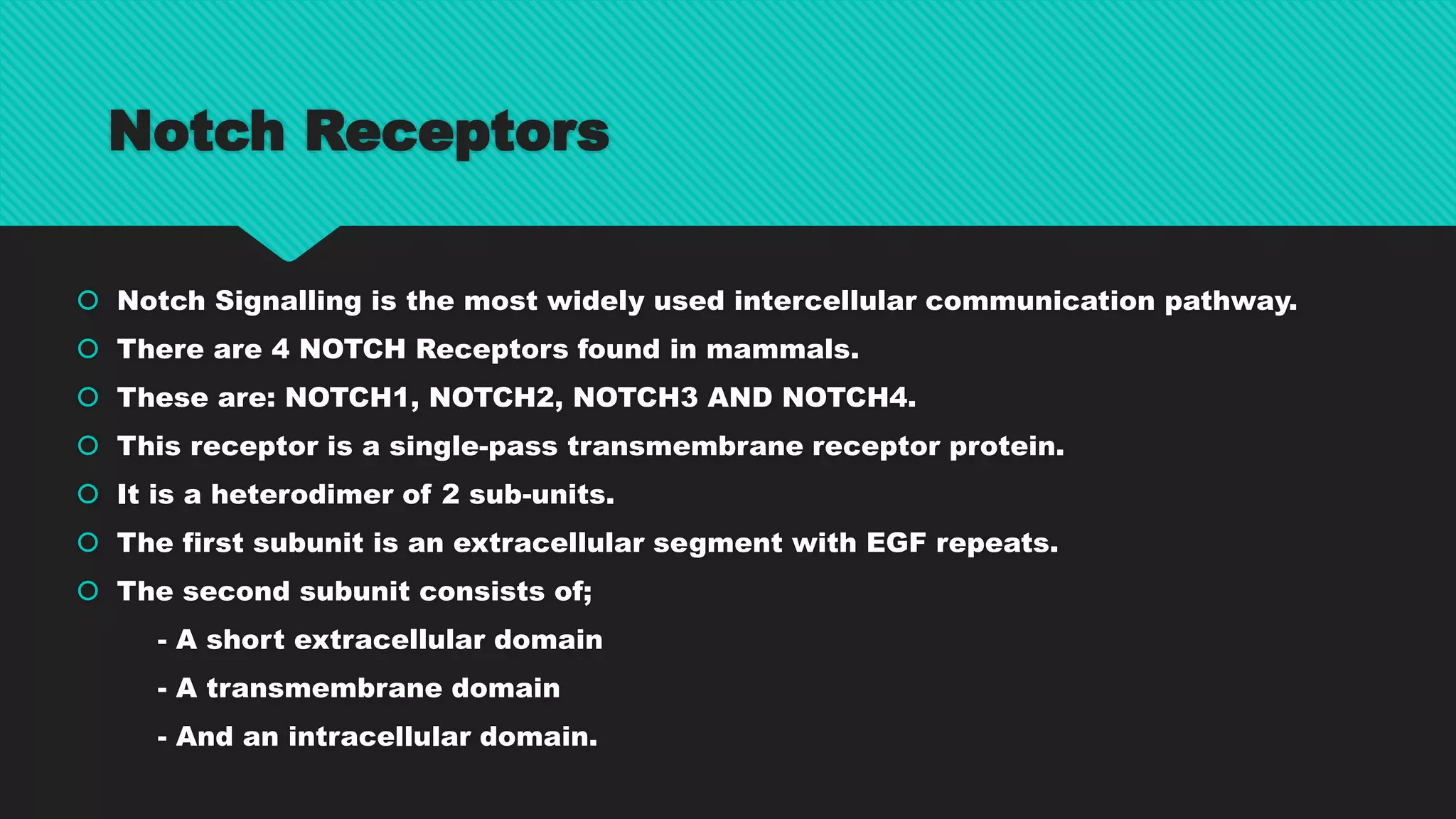 Notch signalling pathway.pptx