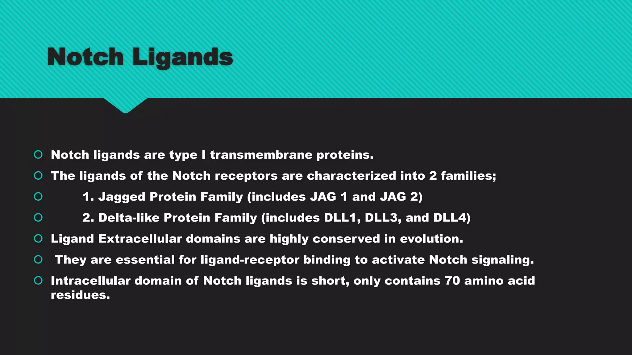 Notch signalling pathway.pptx