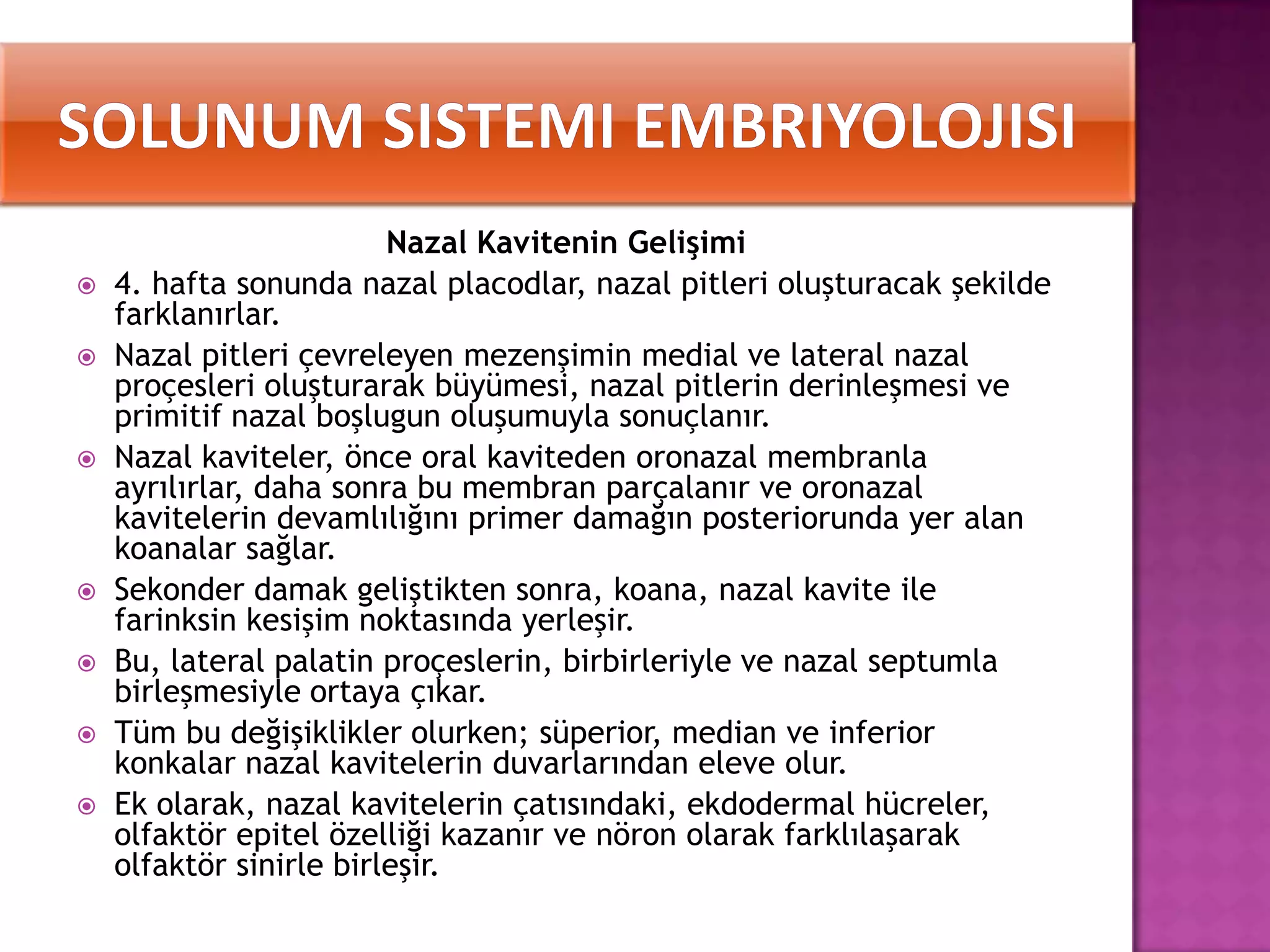Solunum Sistemi Embriyolojisi, Nazal kavite, paranazal sinus ...