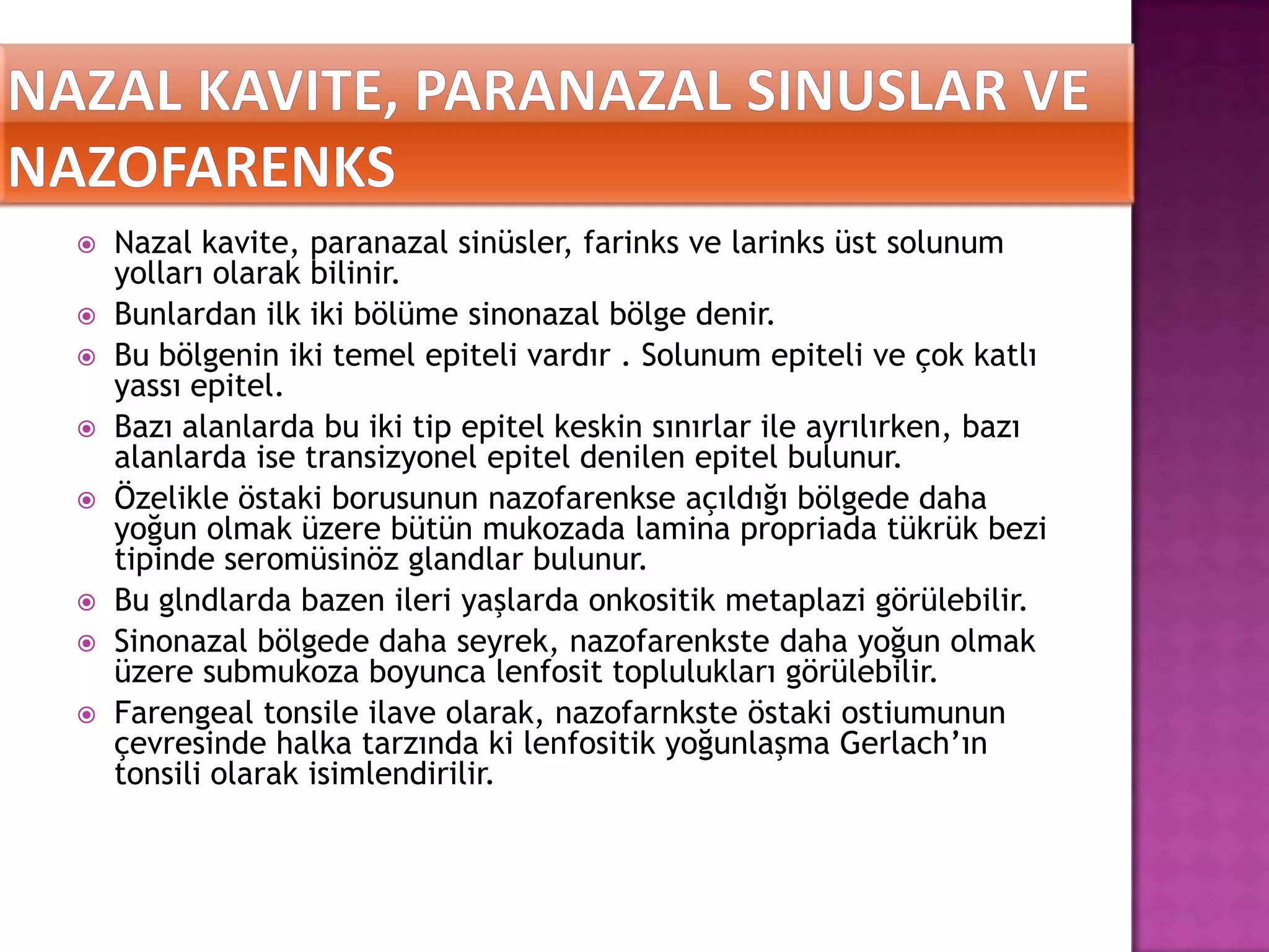 Solunum Sistemi Embriyolojisi, Nazal kavite, paranazal sinus ...