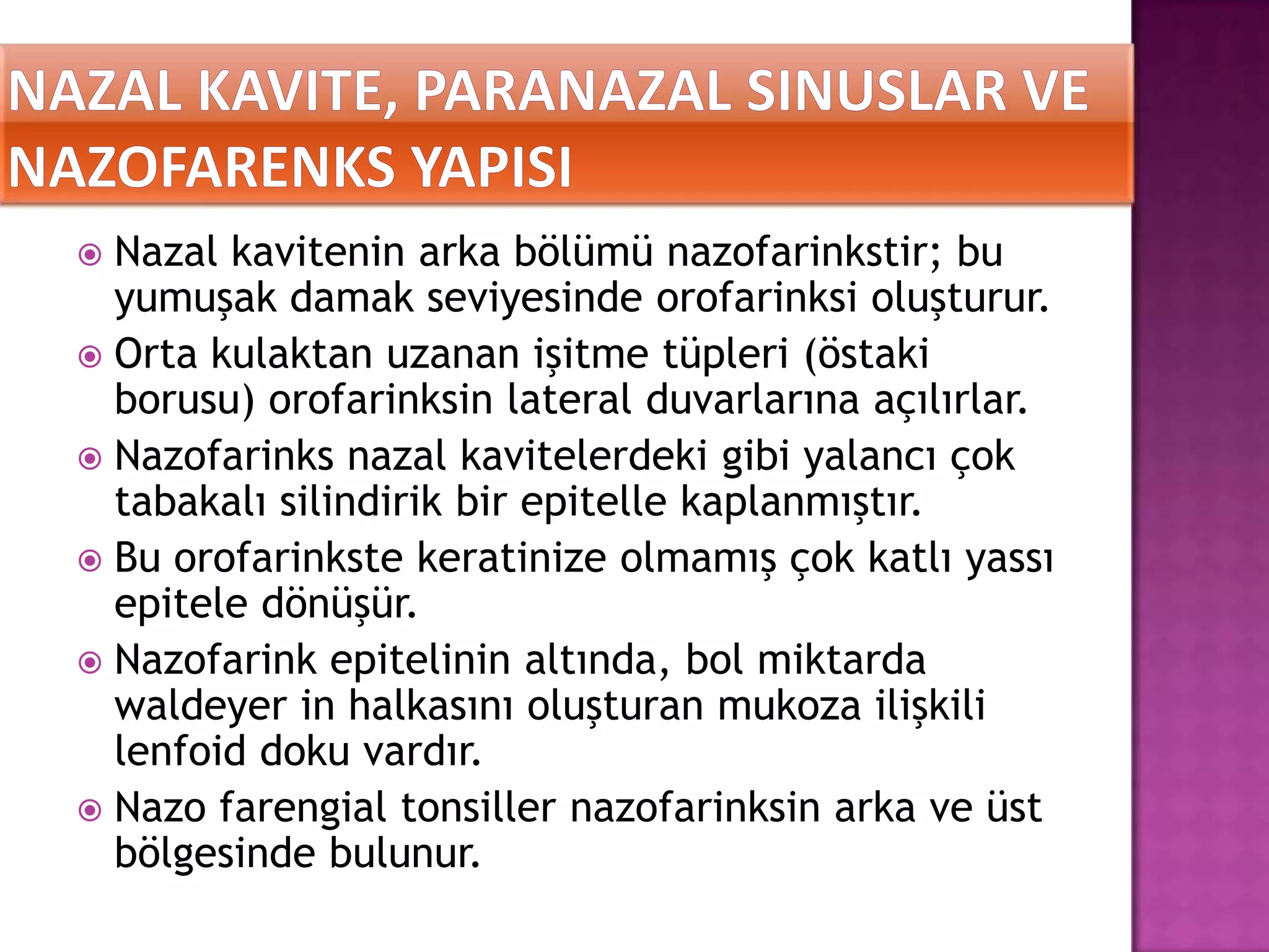 Solunum Sistemi Embriyolojisi, Nazal kavite, paranazal sinus ...