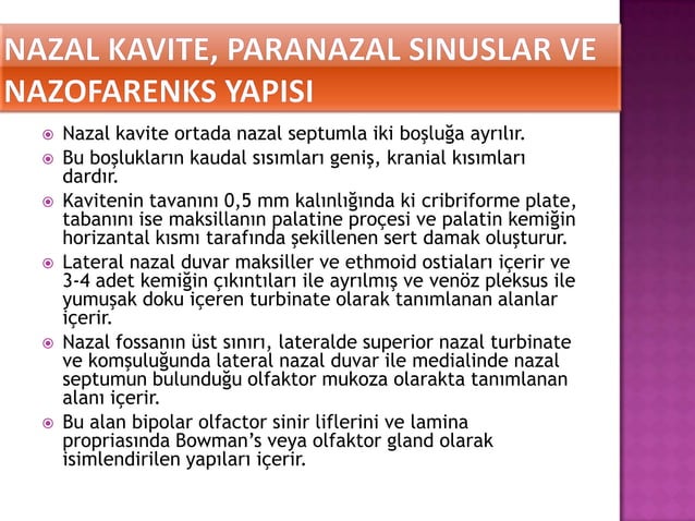 Solunum Sistemi Embriyolojisi, Nazal kavite, paranazal sinus ...