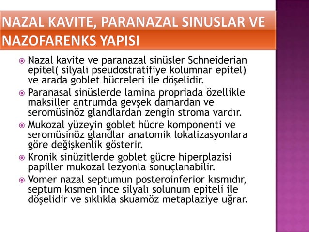 Solunum Sistemi Embriyolojisi, Nazal kavite, paranazal sinus ...