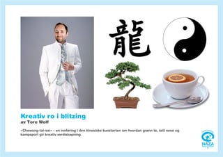 Naza rakettfadder | PDF