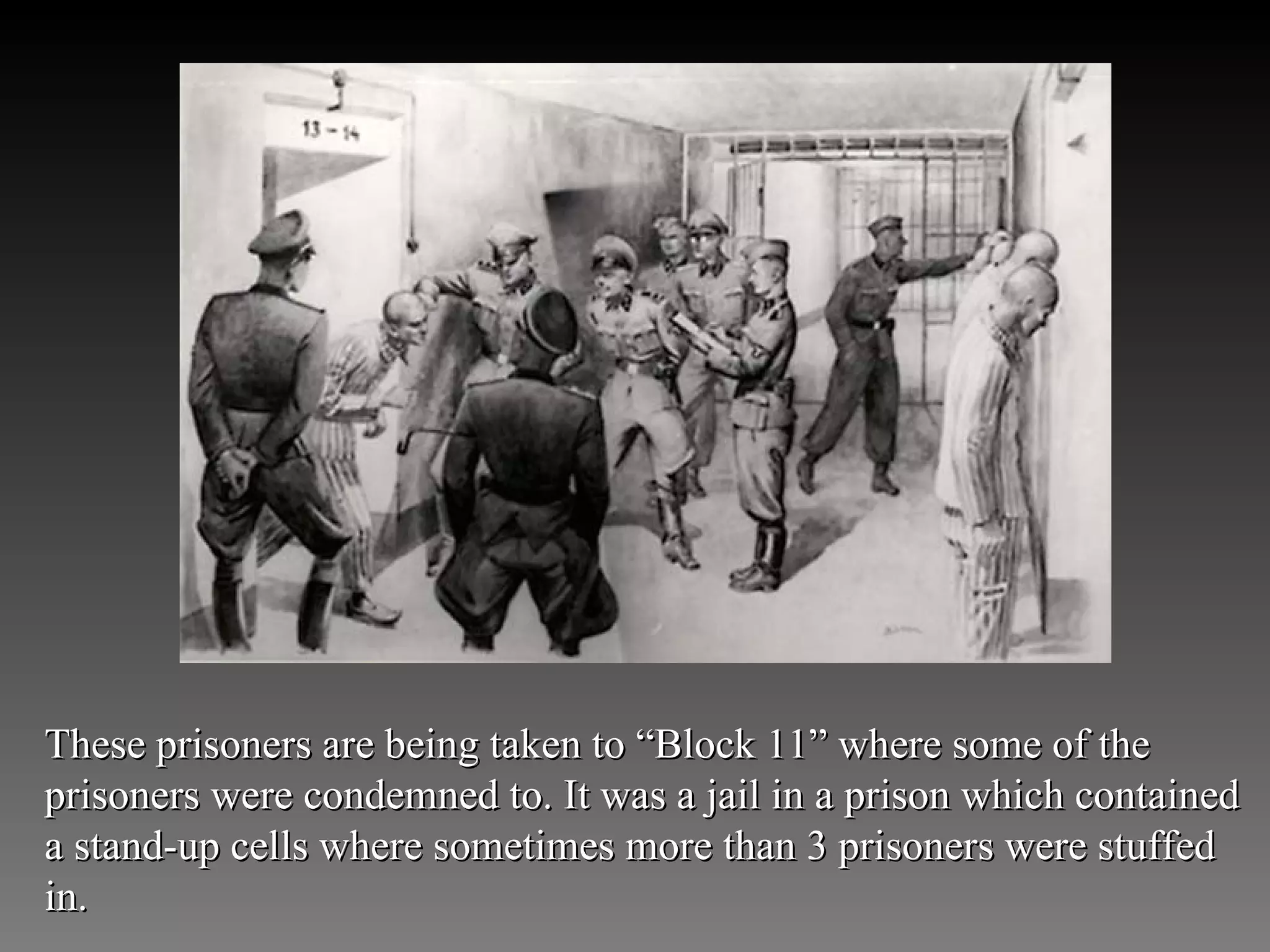 Nazi Death Camps | PPT