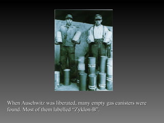 Nazi Death Camps | PPT