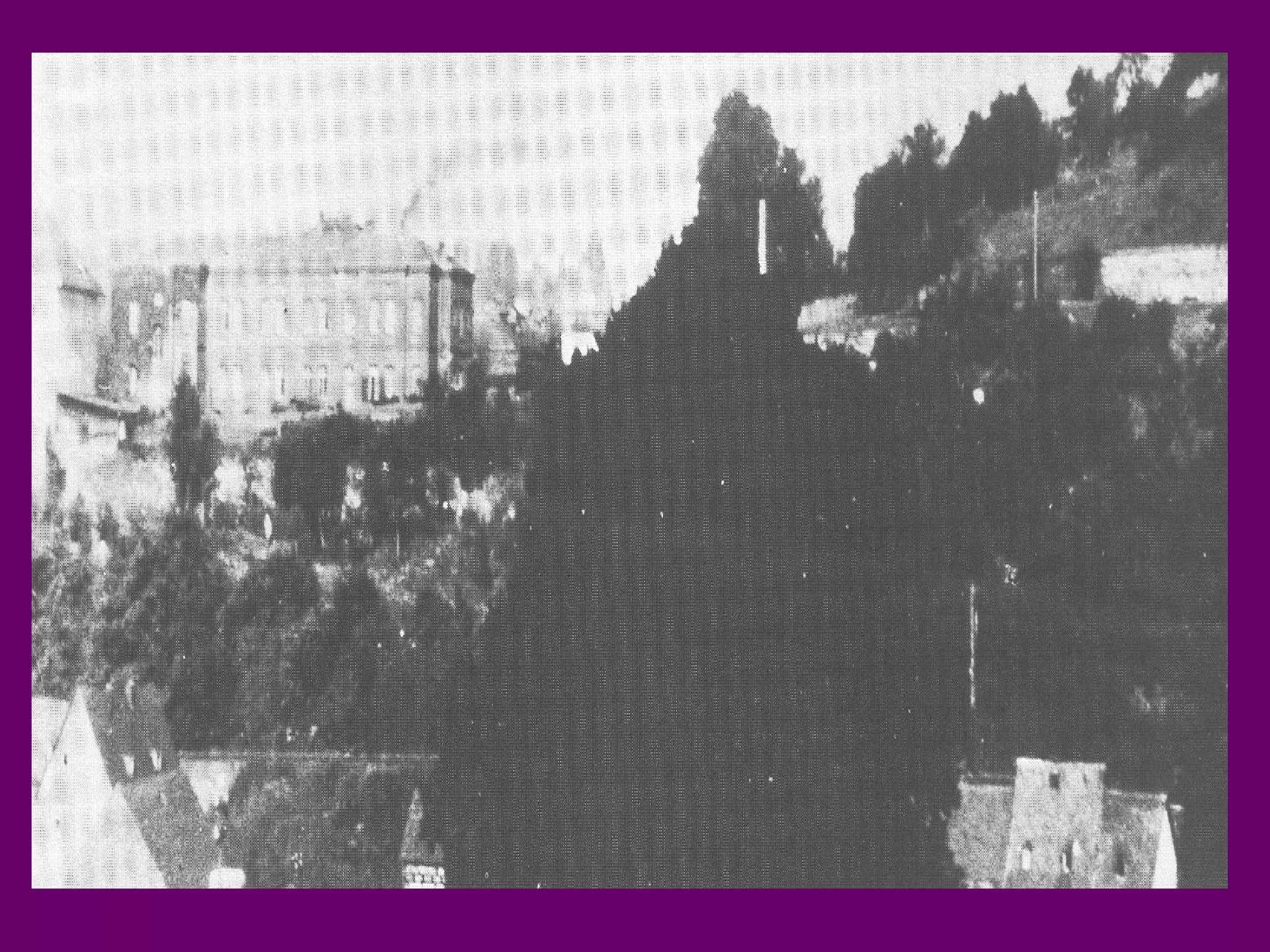 Nazi Racial Policy - Racial Hygiene | PPT