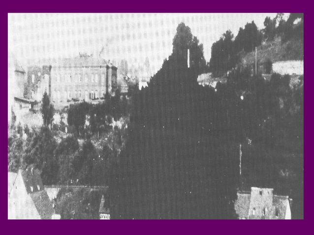 Nazi Racial Policy - Racial Hygiene | PPT | Death, Injury, or Military ...