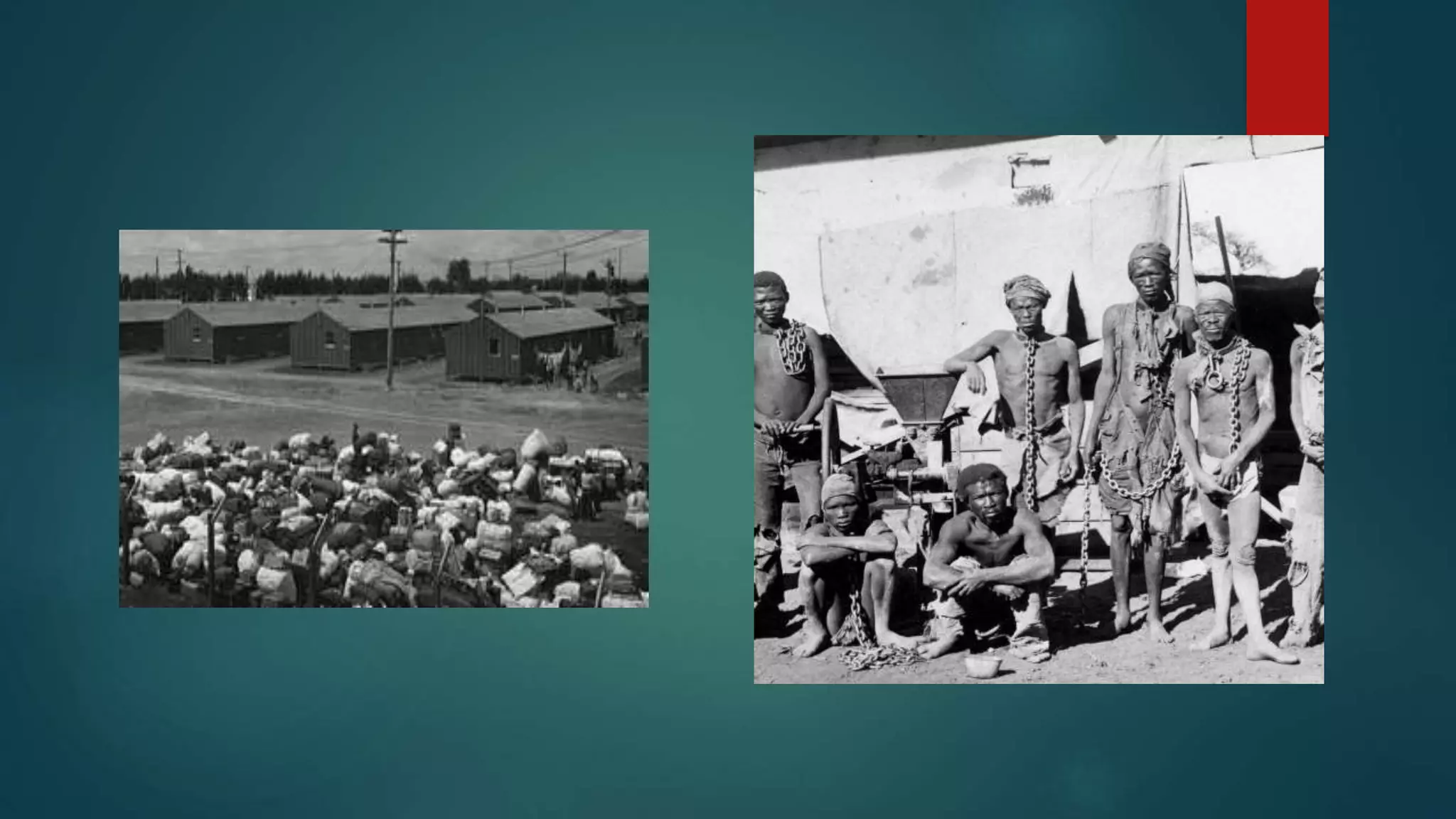 Nazism and the rise of hitler | PPTX