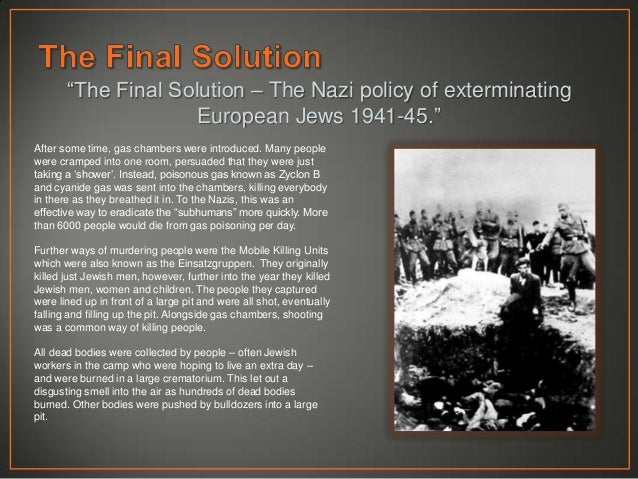 Nazi treatment of minorities toni & hannah