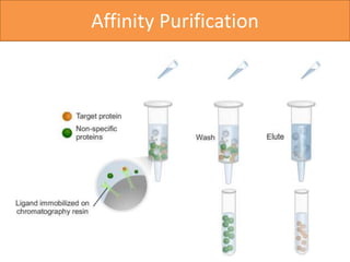 Antihemophilic Factor (Helixate FS) | PPTX