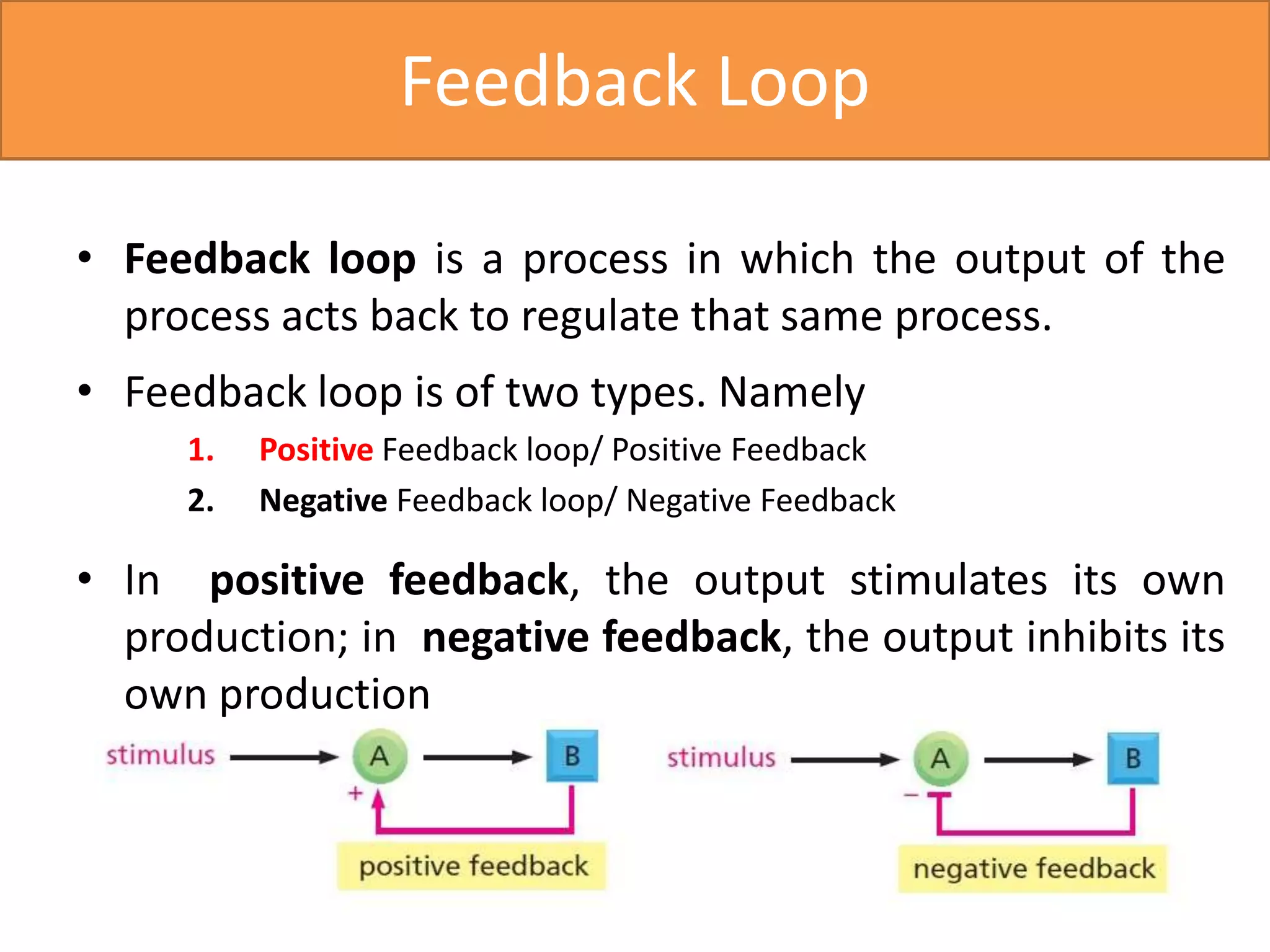 Negative & Positive Feedback in Cell Signaling | PPTX