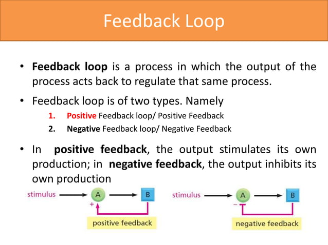 Negative & Positive Feedback in Cell Signaling | PPTX