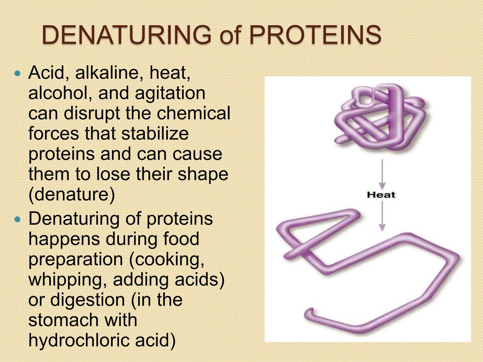 NB.ppt biochemistry of amino acid & proteins | PPT