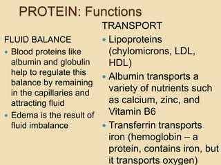 NB.ppt biochemistry of amino acid & proteins | PPT