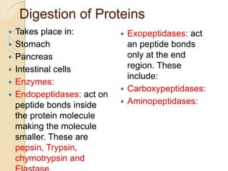 NB.ppt biochemistry of amino acid & proteins | PPT