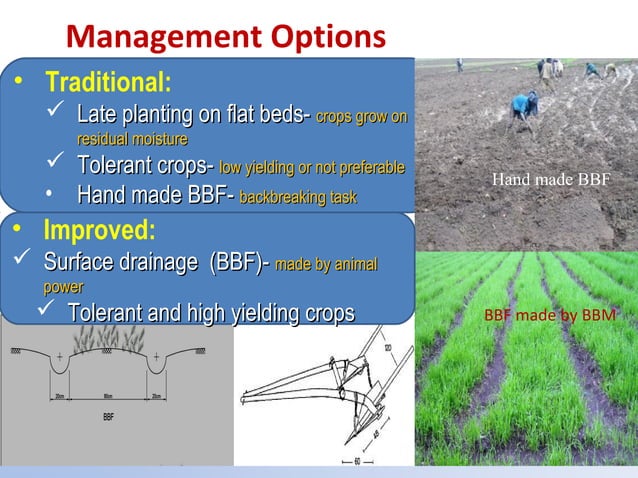 Land use and water management in rainfed agriculture for enhanced ...