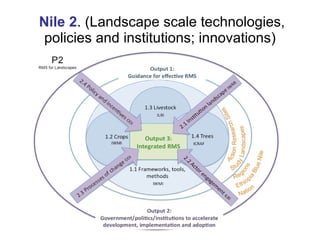 Nile Basin Development Challenge: Brief overview | PPT