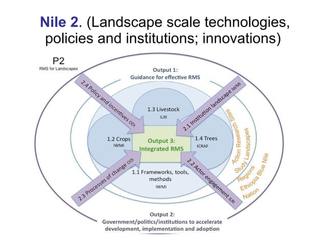 Nile Basin Development Challenge: Brief overview | PPT | Environment | Science