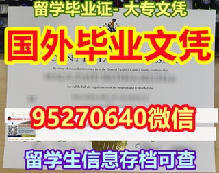 USYD毕业证 | PDF
