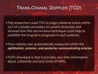 Collateral Blood Flow Dynamics in Stroke | PPT