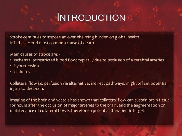 Collateral Blood Flow Dynamics in Stroke | PPT