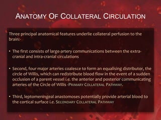 Collateral Blood Flow Dynamics in Stroke | PPT