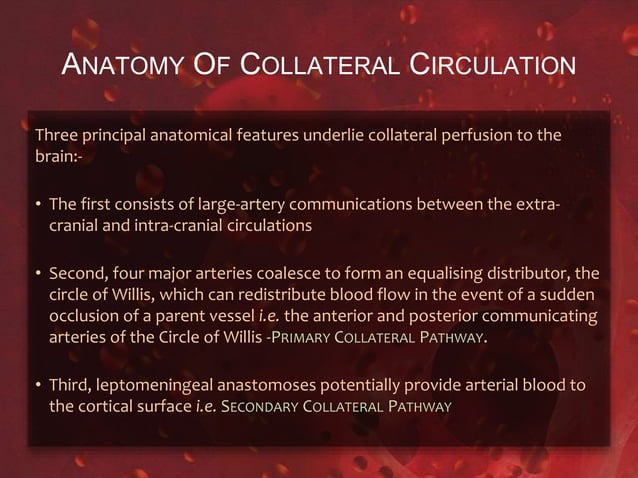 Collateral Blood Flow Dynamics in Stroke | PPT