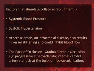 Collateral Blood Flow Dynamics in Stroke | PPT